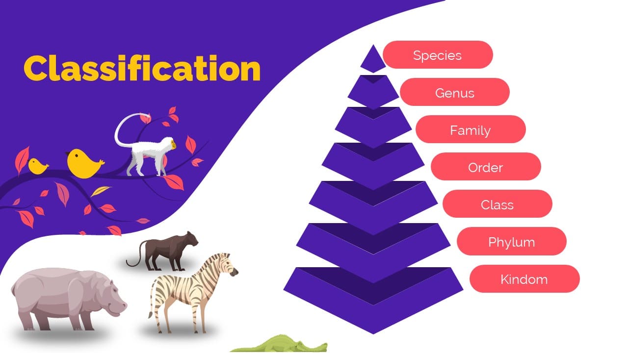 Free Natural Science Template - PowerPoint - PPT & Google Slides Download