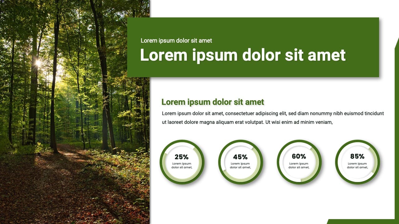 Free World Forestry Day Template - Celebrating Our Forests - PowerPoint - PPT & Google Slides ...
